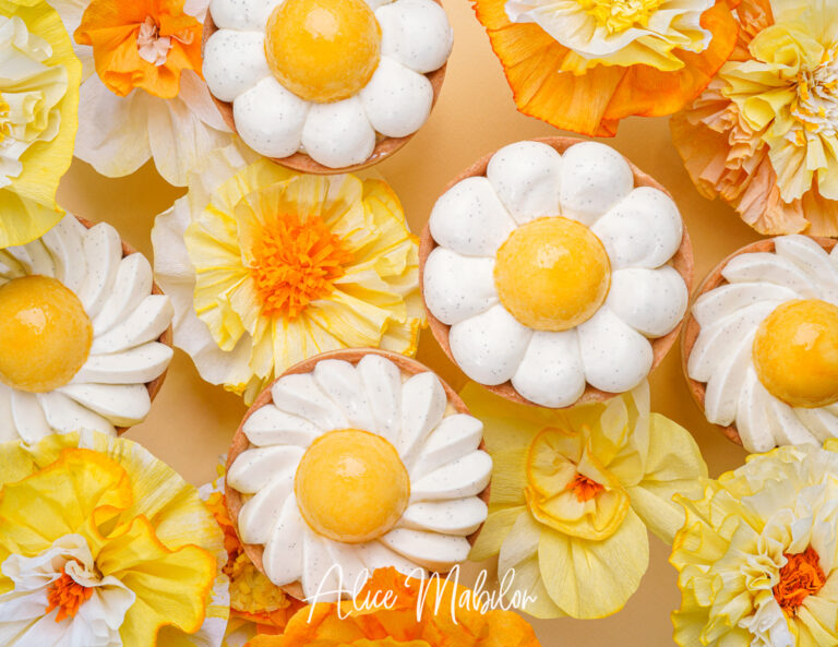 Blog - Alice Mabilon